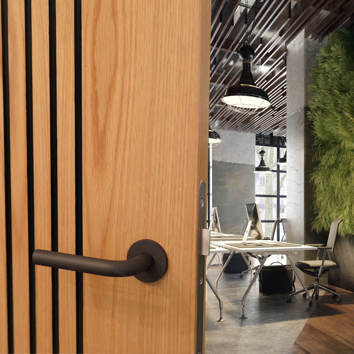 Raven Black - Armada Door Hardware